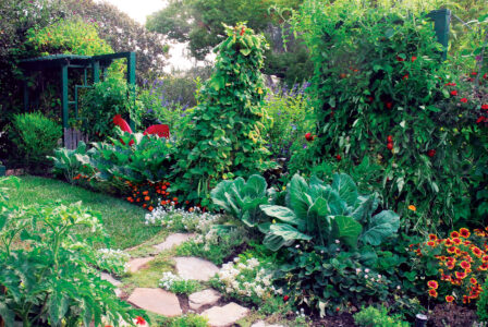 Vegetable Landscaping: 100 Sq Ft Gardening – Mother Earth News